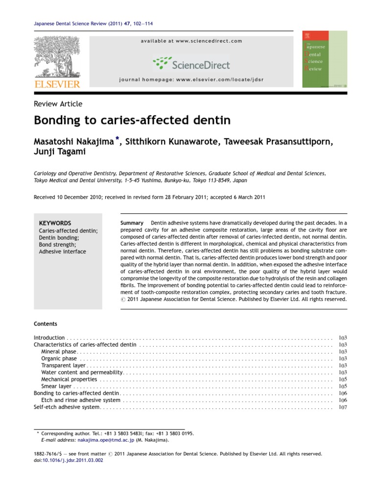 Bonding To Caries Affected Dentin | PDF | Dentin | Collagen