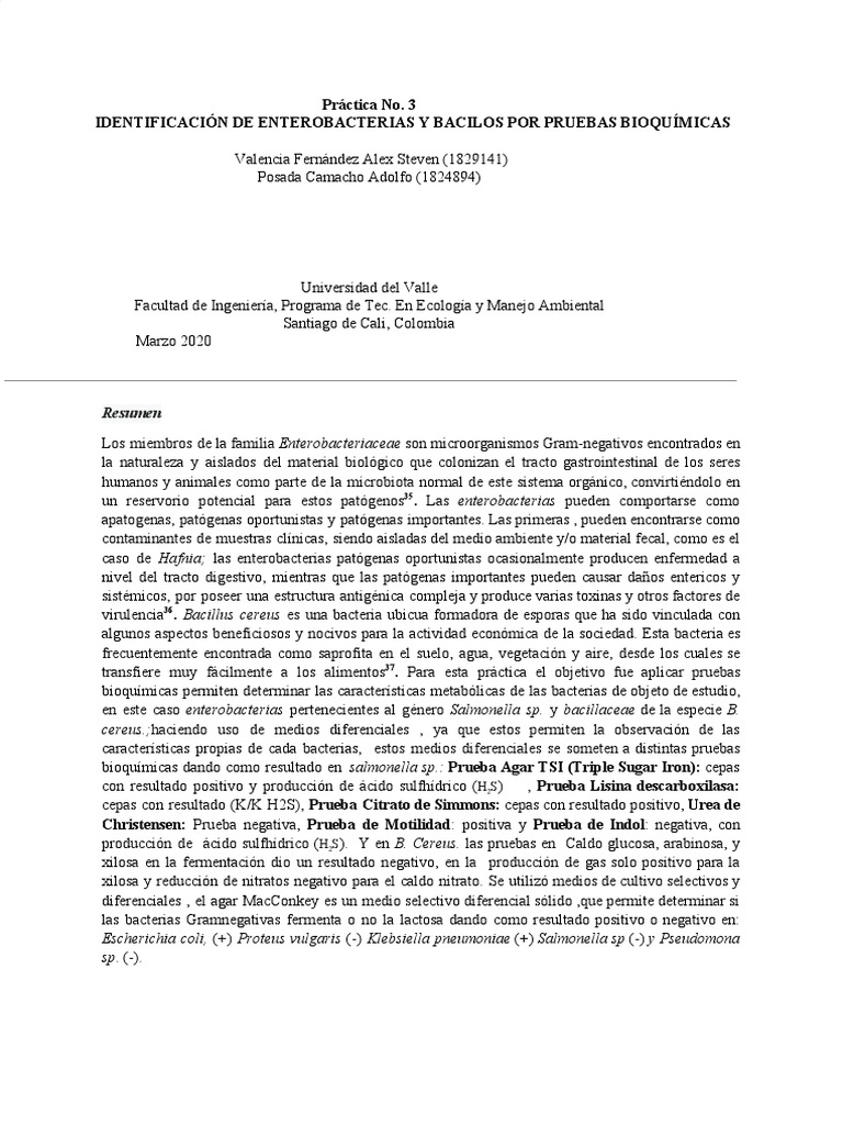 Identificación de Enterobacterias y Bacilos Por Pruebas Bioquímicas | PDF | Microbiología | Biología
