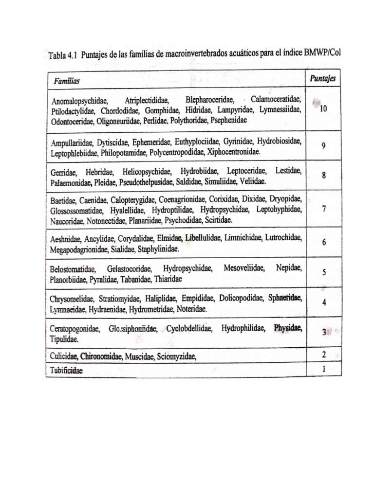 Tabla BMWP | PDF