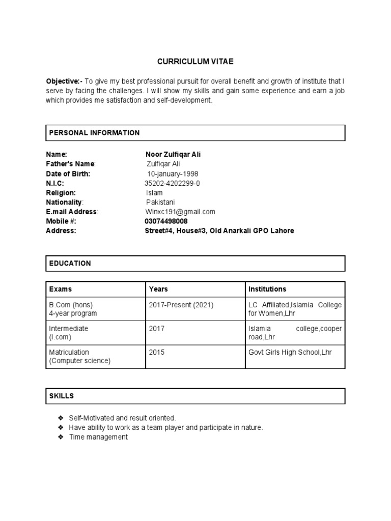 CV of Noor Zulfiqar Ali | PDF