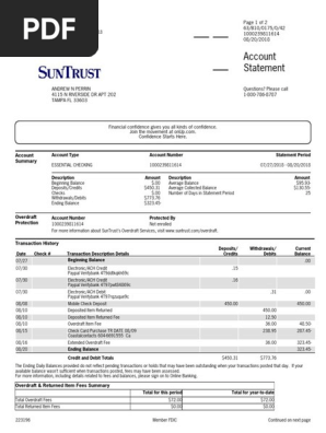 Suntrust Bank Statement Template