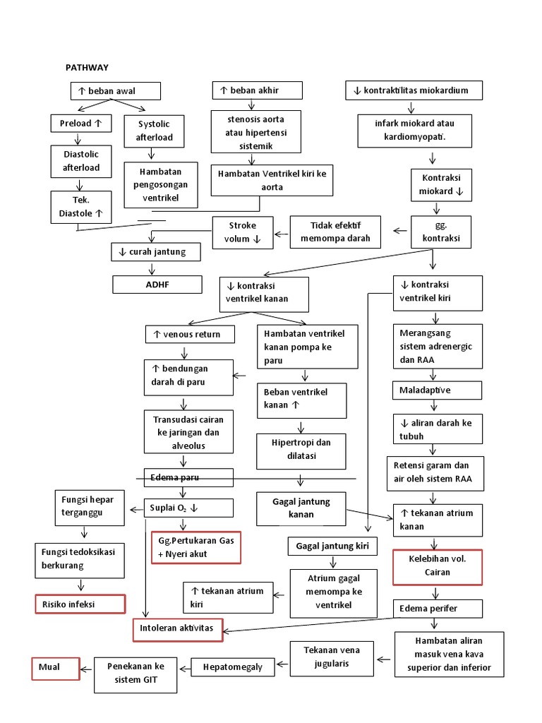 Patofisiologi ADHF | PDF