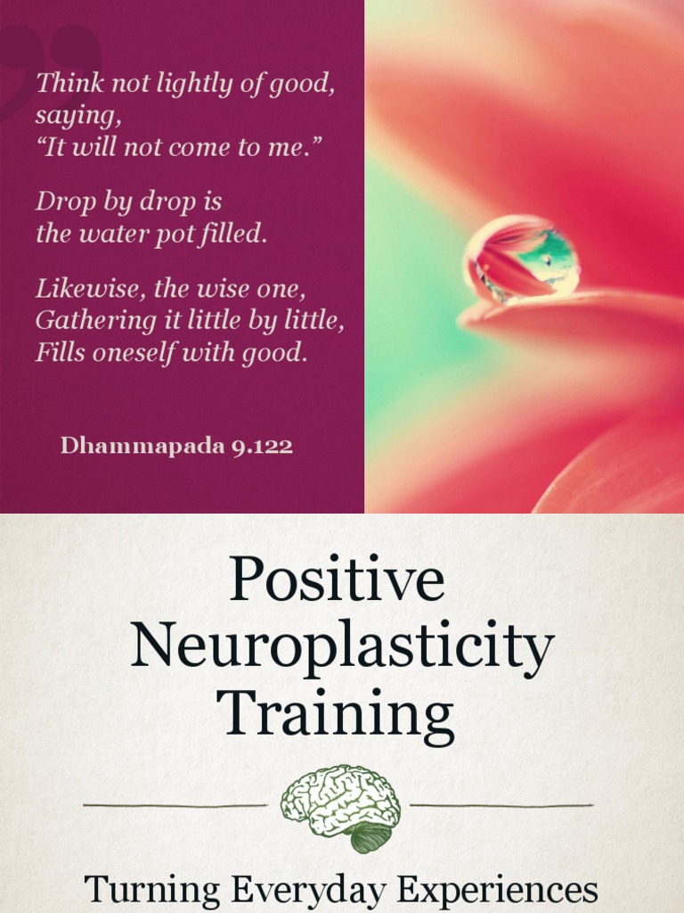 Positive Neuroplaticity Turning Everyday ExperiencesInto Lasting Inner ...