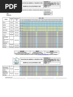 Planilla de Control de Aseo | PDF