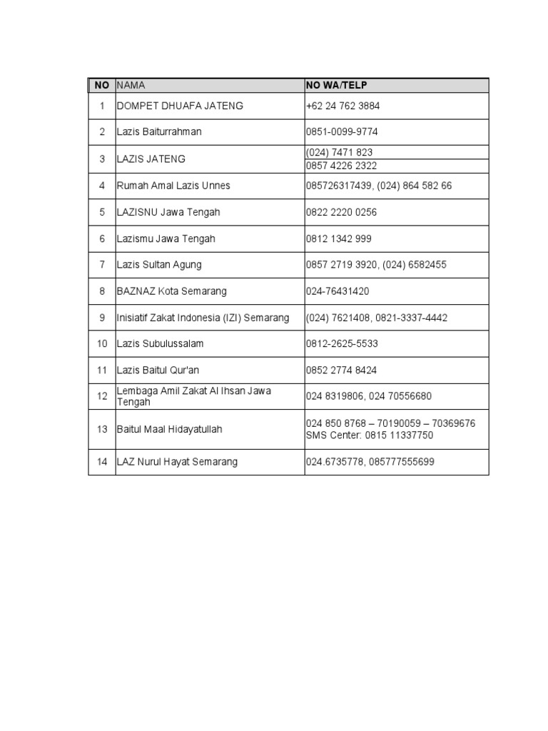 Lazis Jateng Dan Semarang | PDF