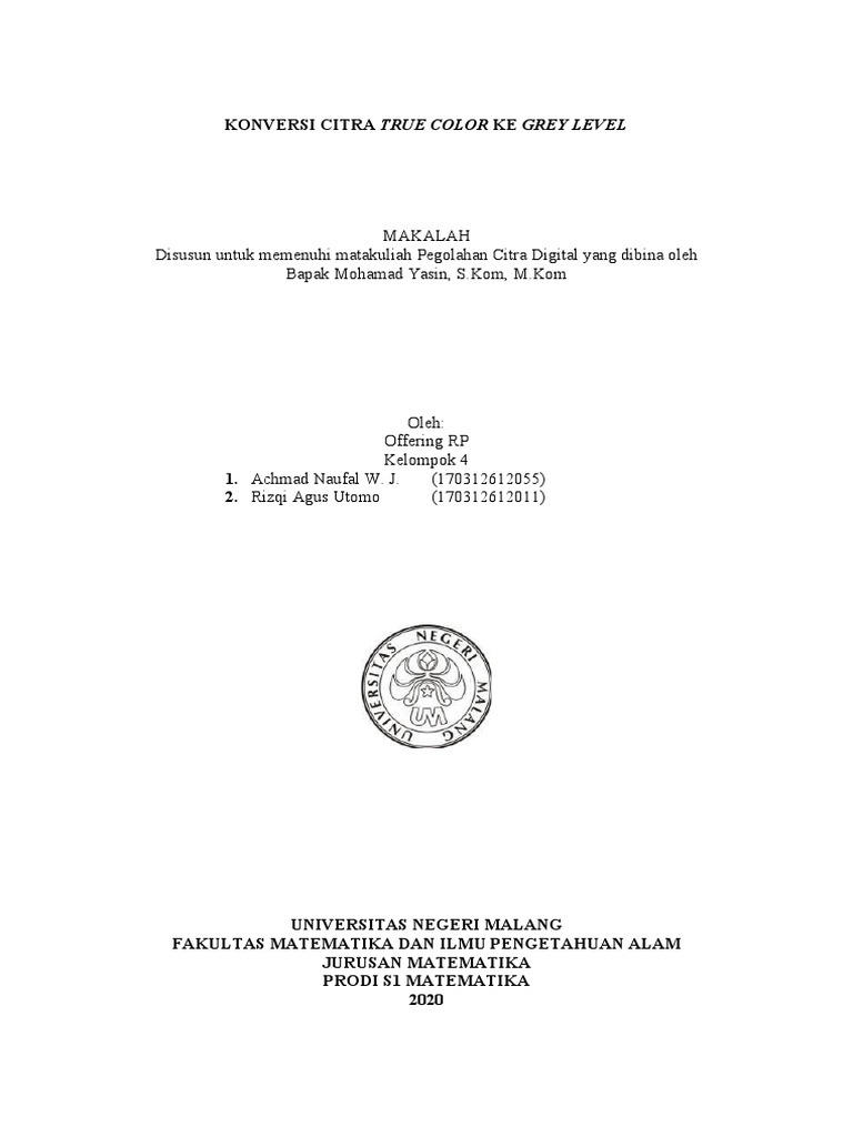 Konversi Citra True Color Ke Grey Level | PDF