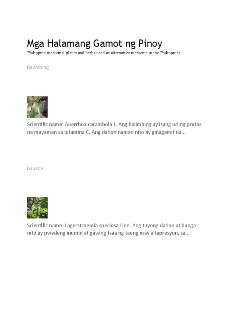 Halamang Gamot | PDF