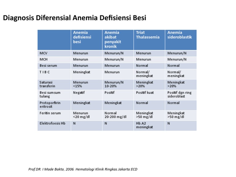 Diagnosis Diferensial Anemia Defisiensi Besi | PDF