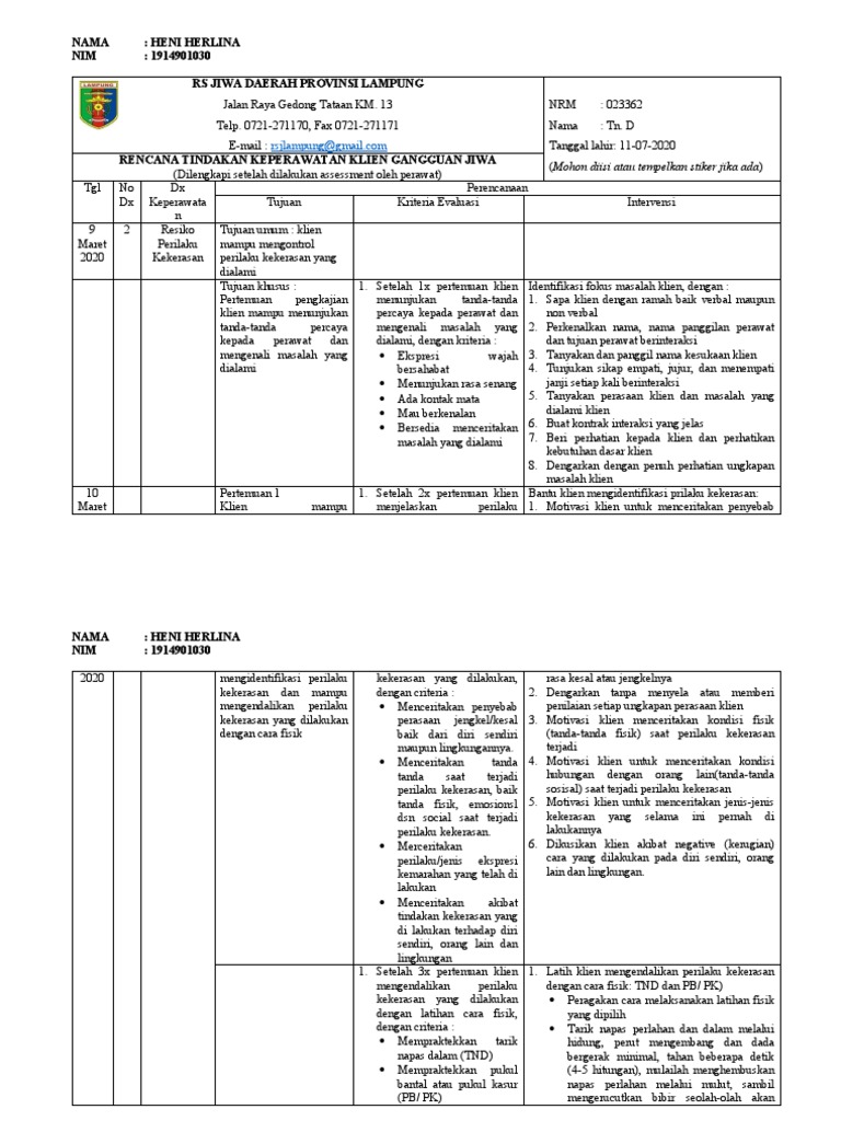 Intervensi RPK dalam Keperawatan Jiwa | PDF