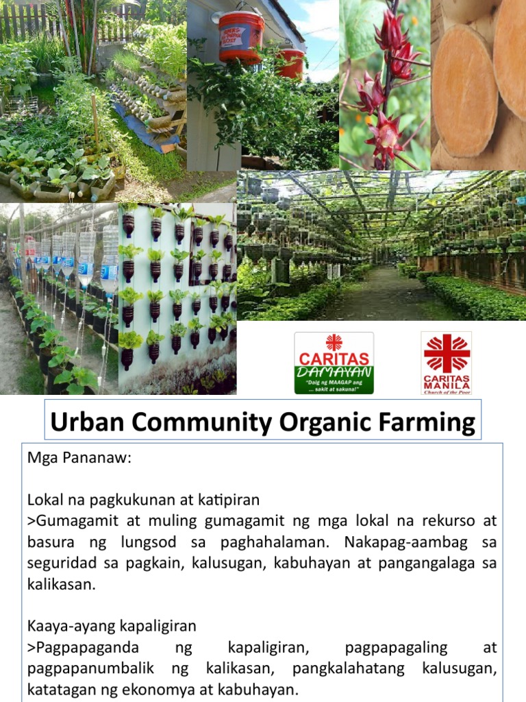 A. Urban Gardening | PDF