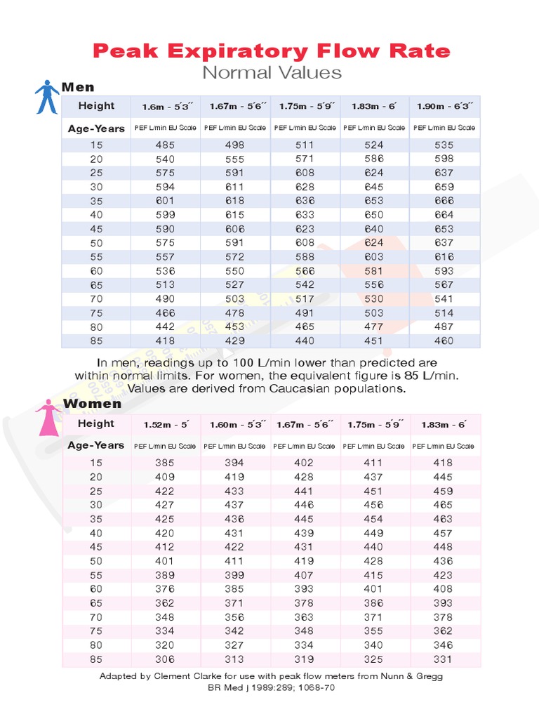 Peak Flow Rate Chart PDF | PDF | Clinical Medicine | Nature