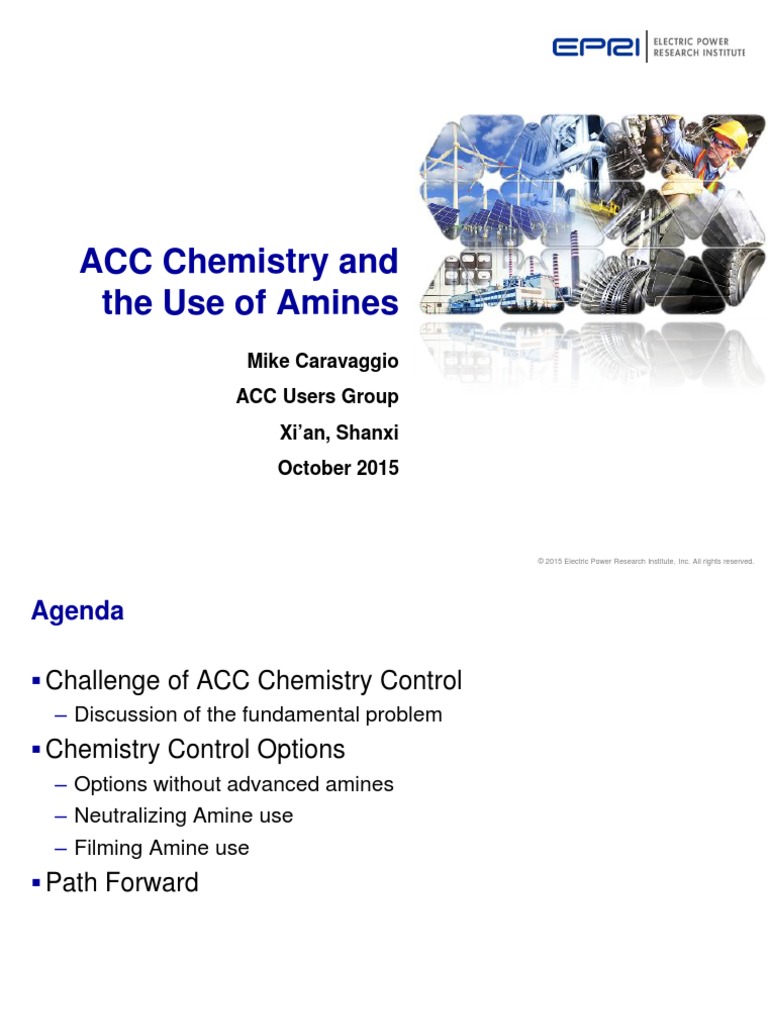 08 ACC Chemistry and Amines PDF | PDF | Ammonia | Carbon Dioxide