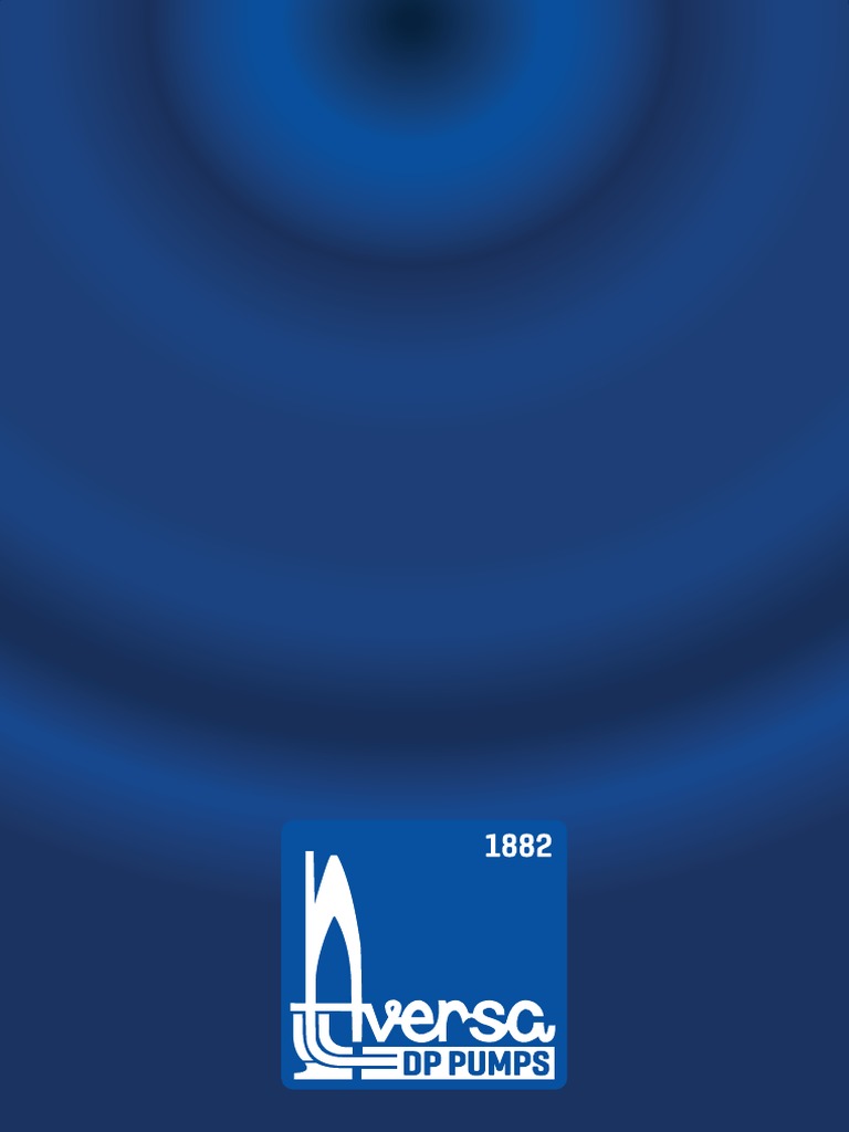 Aversa DP Pumps: Custom Solutions Overview | PDF | Solution | Pump