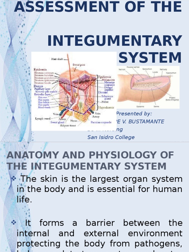 Assessment of The Integumentary System | PDF | Hair Loss ...