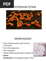 Biochemical Test and Identification of Pseudomonas Aeruginosa | PDF ...