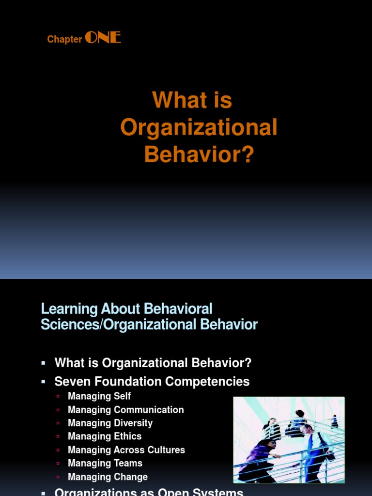 OB Introduction | PDF | Organizational Behavior | Attitude (Psychology)
