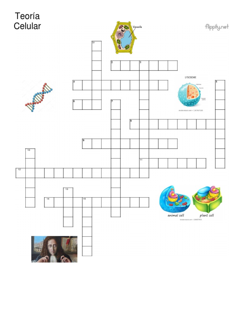 Teoria Celular Crucigrama PDF | PDF | Ciencia y matemáticas