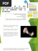 Accesorios de Paraleligrafo | PDF | Dentadura postiza | Odontología