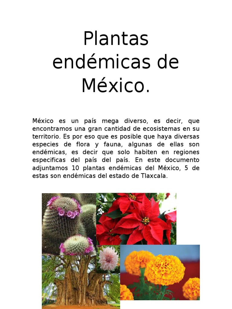 Plantas de Mexico | PDF | Plantas | Organismos