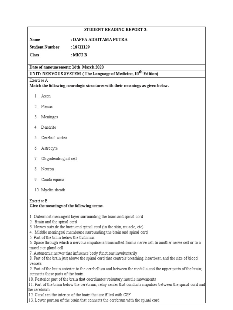 STUDENT READING REPORT 3-Bhs Inggris-Kedokteran | PDF | Spinal Cord | Brain
