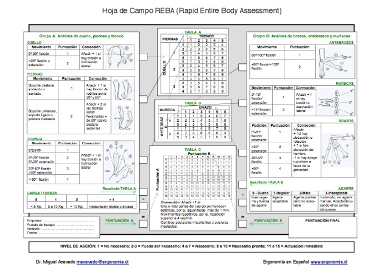 REBA Hoja de Campo | PDF