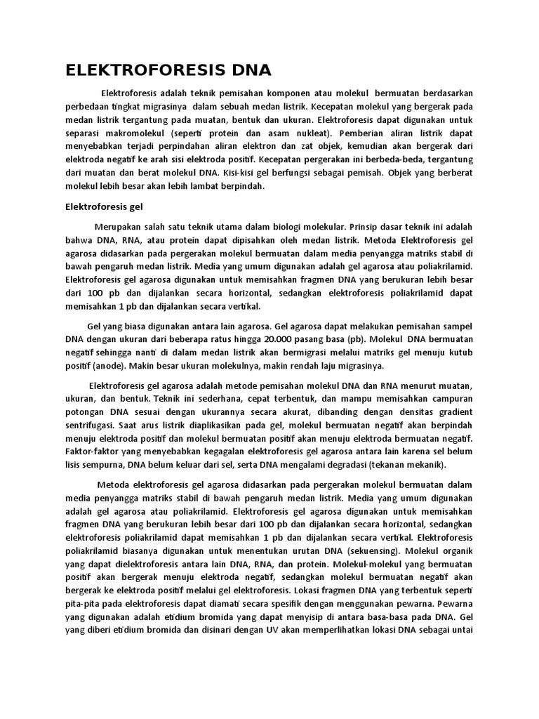 Teknik Pemisahan DNA dengan Elektroforesis | PDF
