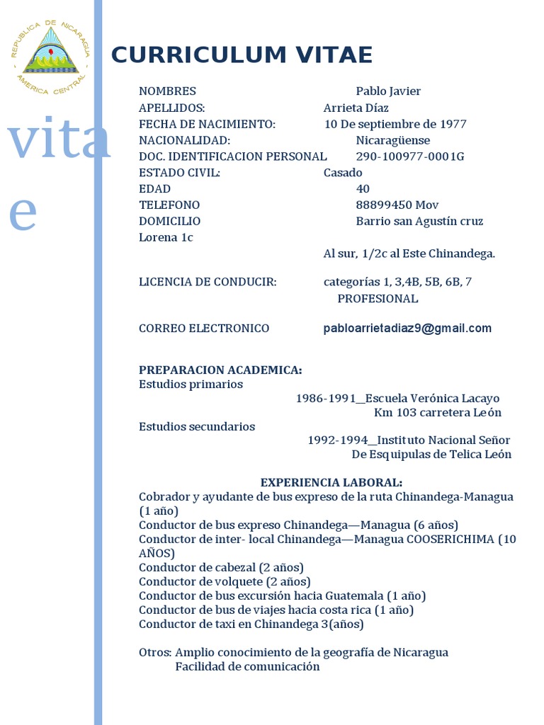 Curriculum Vitae Pablo Arrieta | PDF