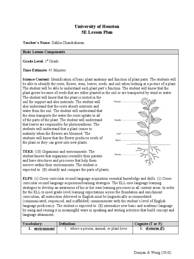 1st Grade Plant Anatomy Lesson Plan | PDF | Root | Plants