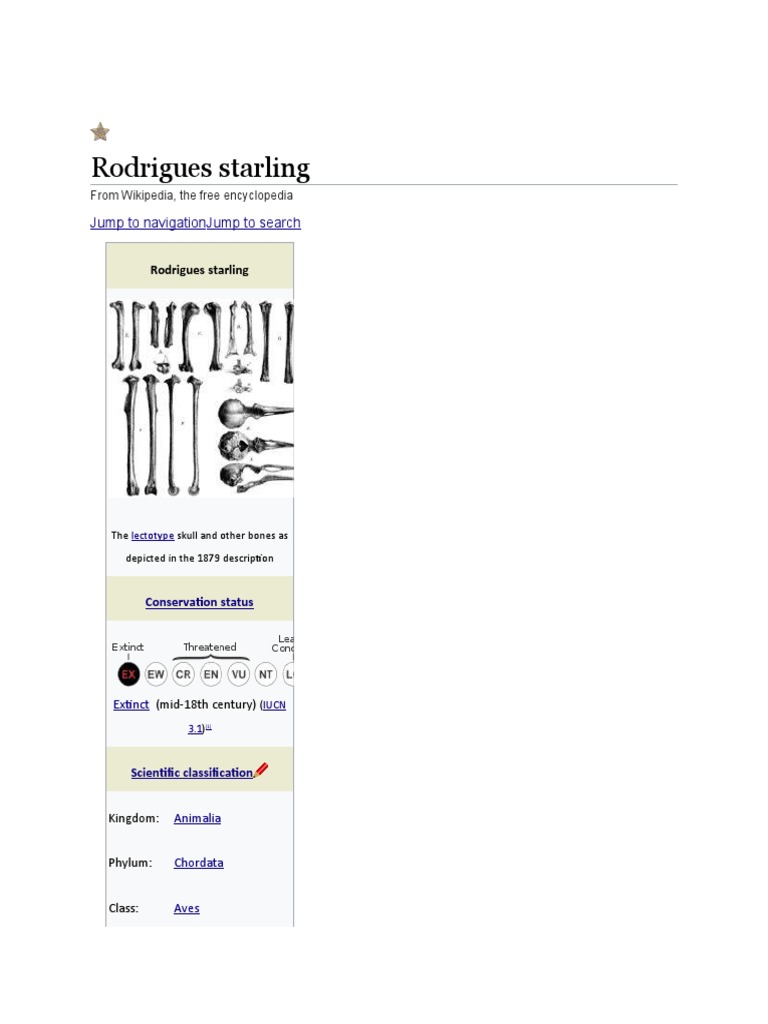 Rodrigues Starling: Jump To Navigation Jump To Search | PDF | Birds ...