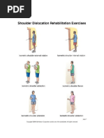 Rotator Cuff and Shoulder Conditioning Program - OrthoInfo - AAOS | PDF ...