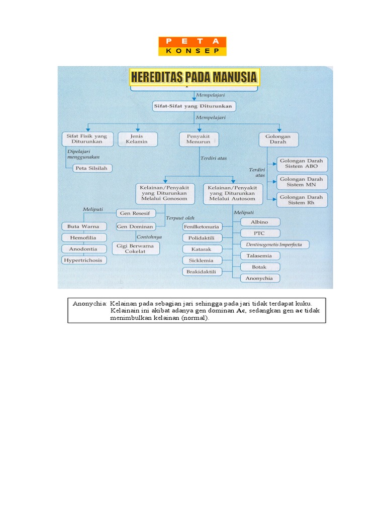 Genetika Manusia: Cacat dan Penyakit Genetik | PDF