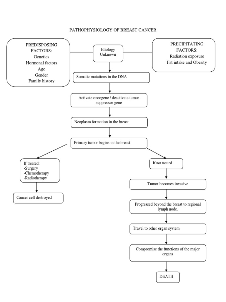 Pathophysiology of Breast Cancer: If Not Treated | PDF