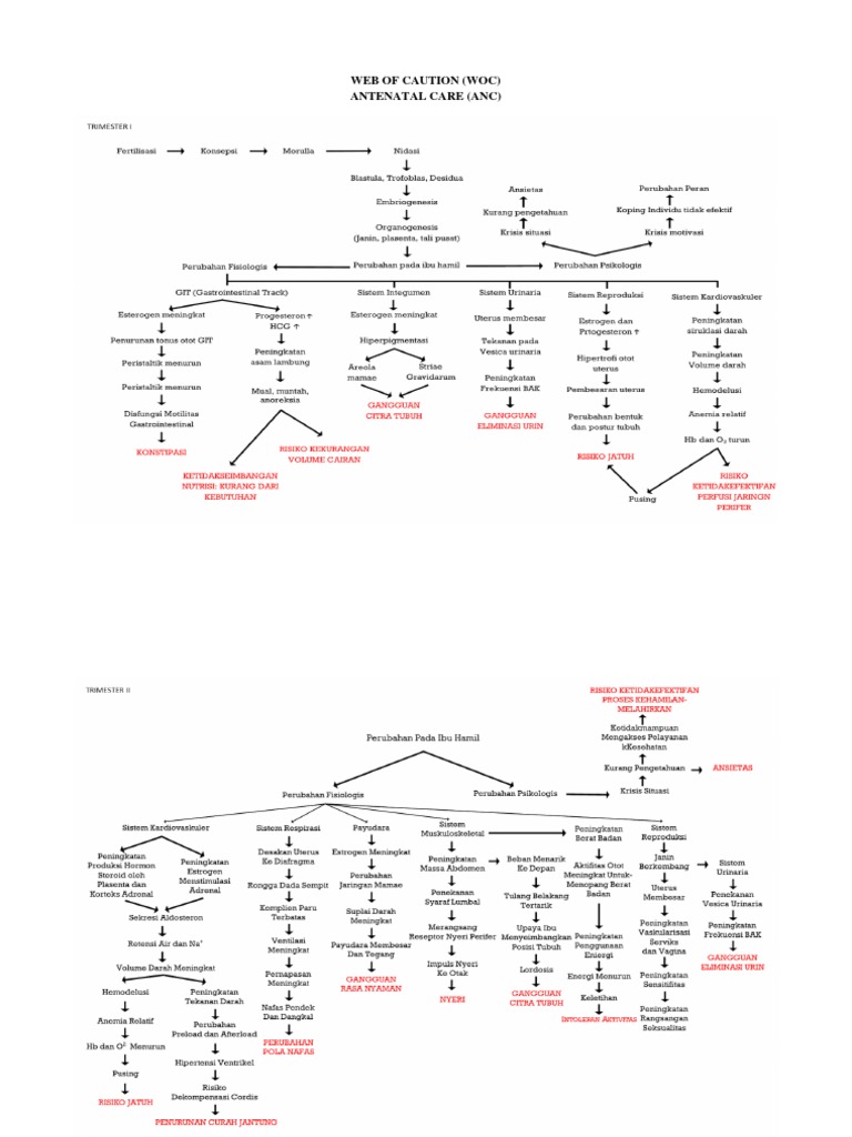 Woc Anc Pdf Pdf