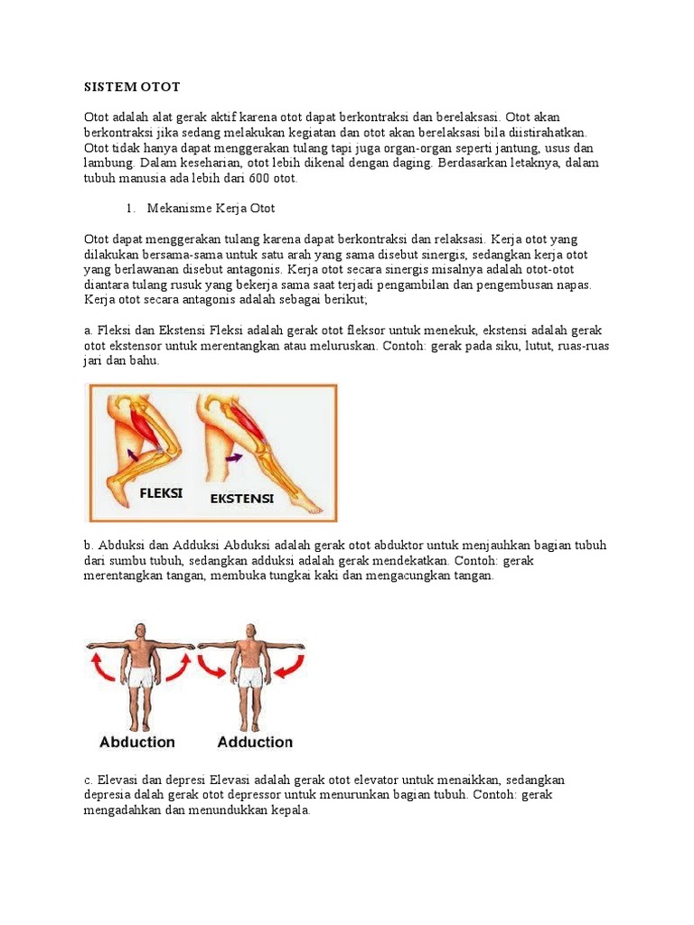 Mekanisme Pergerakan | PDF