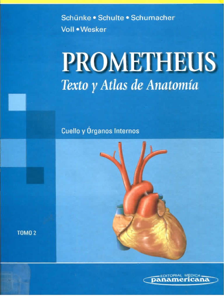 Prometheus: Atlas de Anatomía Tomo 2 PDF | PDF