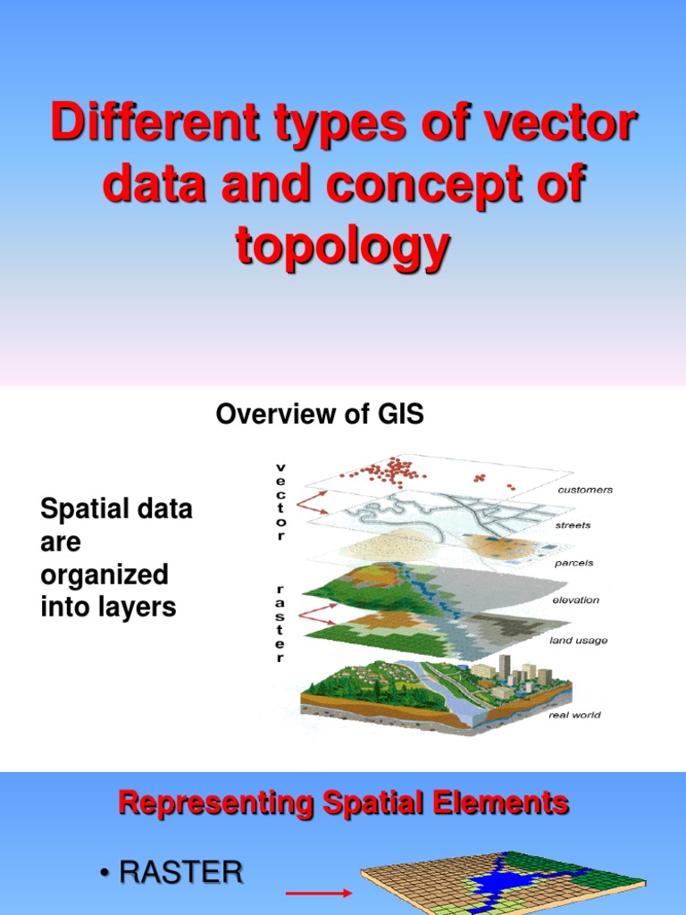Understanding GIS Topology and Vector Data | PDF | Geographic ...