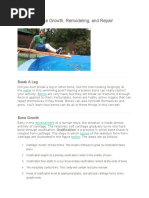 Bone Smashing - What It Is & How To Do It (Complete Guide) | PDF | Bone ...