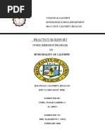 A OJT Narrative Report Format | PDF | Cognition