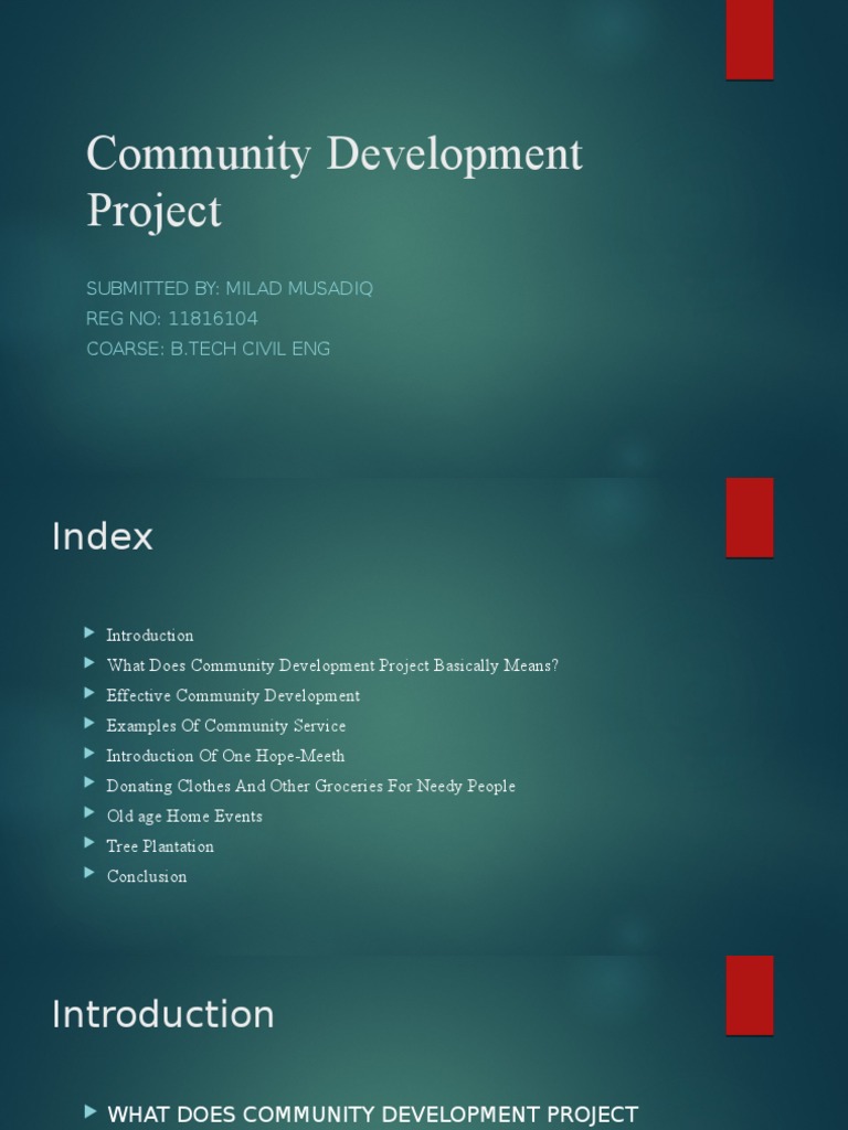 Community Development | PDF | Community | Non Governmental Organization