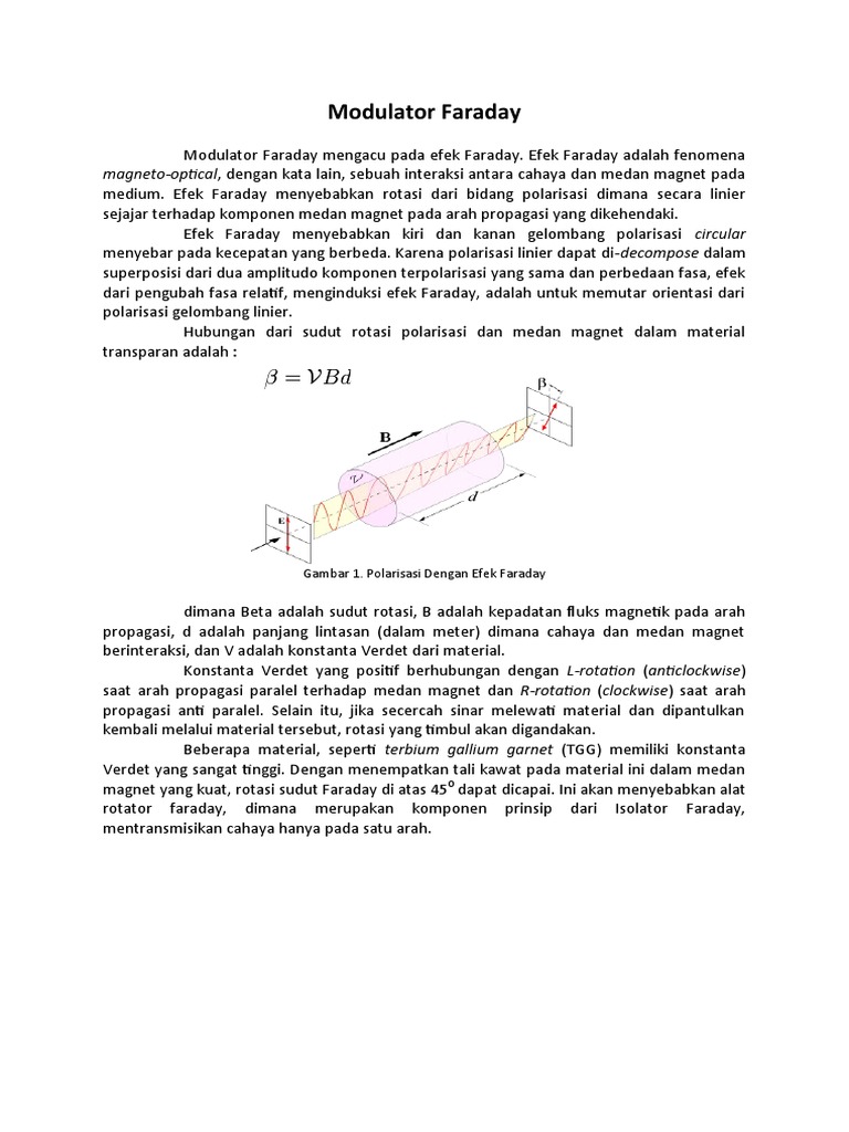 Modulator Faraday | PDF