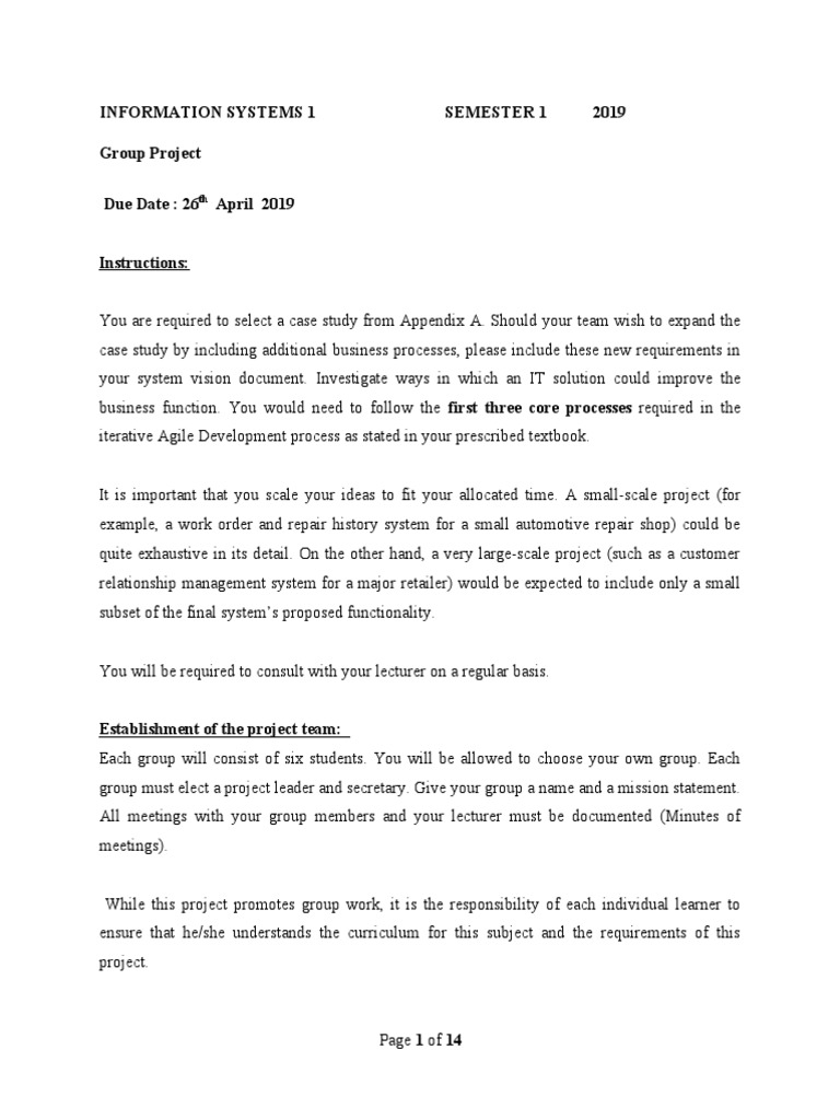 Information Systems Group Project Guide | PDF | Traffic Ticket | Use Case