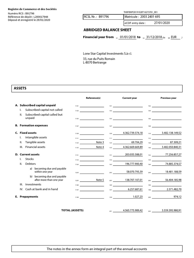 Abridged Balance Sheet: Assets | PDF | Going Concern | Depreciation