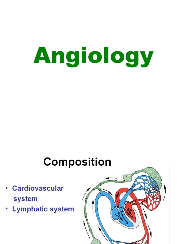 Introduction of Angiology and Heart | PDF | Heart Valve | Atrium (Heart)