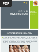 Envejecimiento Cutaneo | PDF | Piel | Envejecimiento
