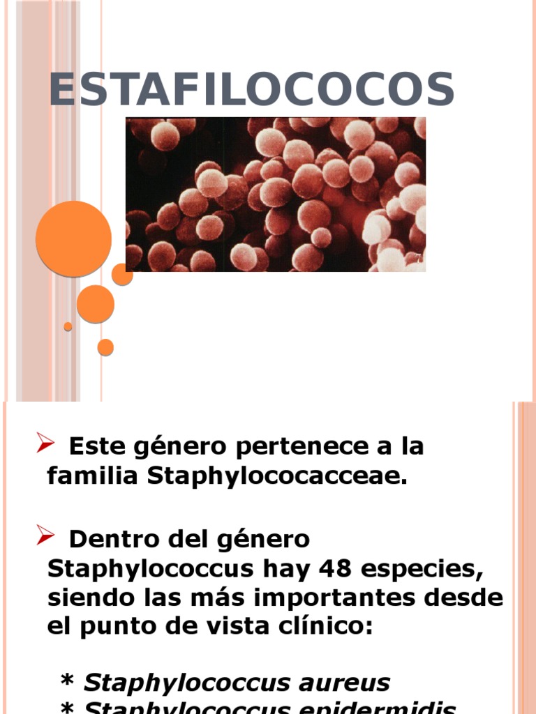 Clasificación y características de estafilococos | PDF | Staphylococcus ...