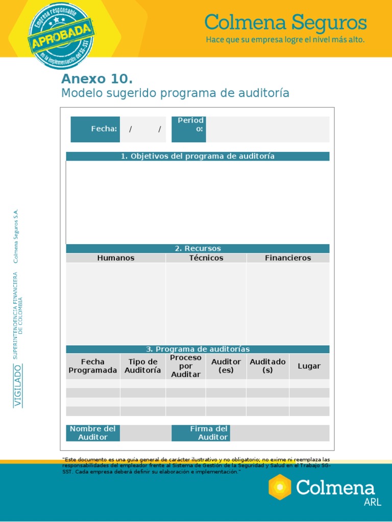 Anexo 10. Modelo Programa de Auditoria | PDF | Auditoría | Business