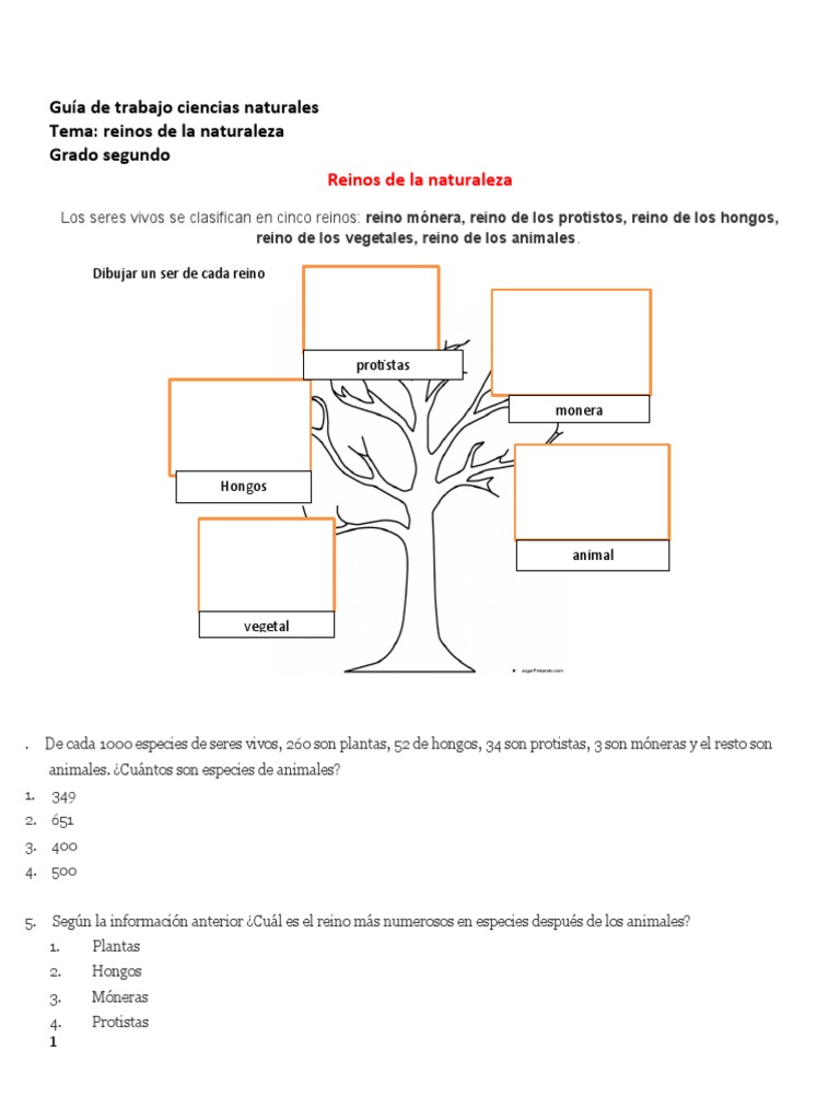 Grado Segundo | PDF | Huevo | Aves