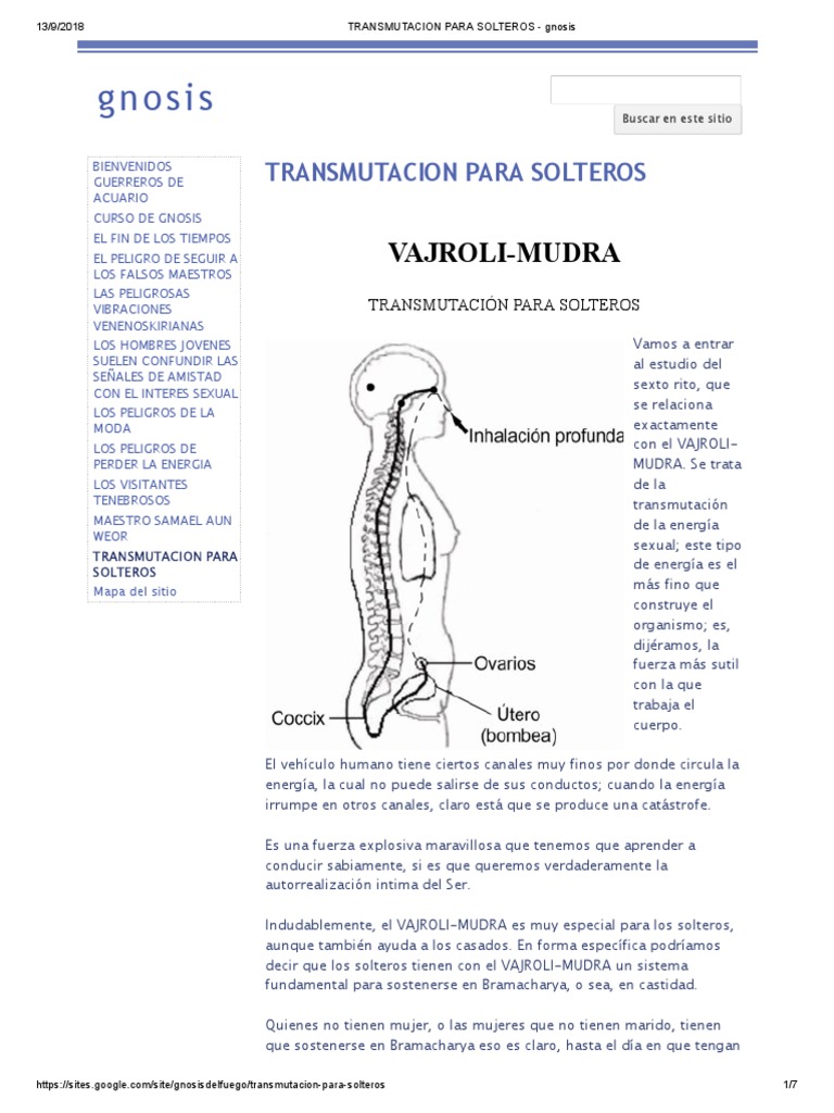 TRANSMUTACION PARA SOLTEROS - Gnosis | PDF | Celibato | Mujer