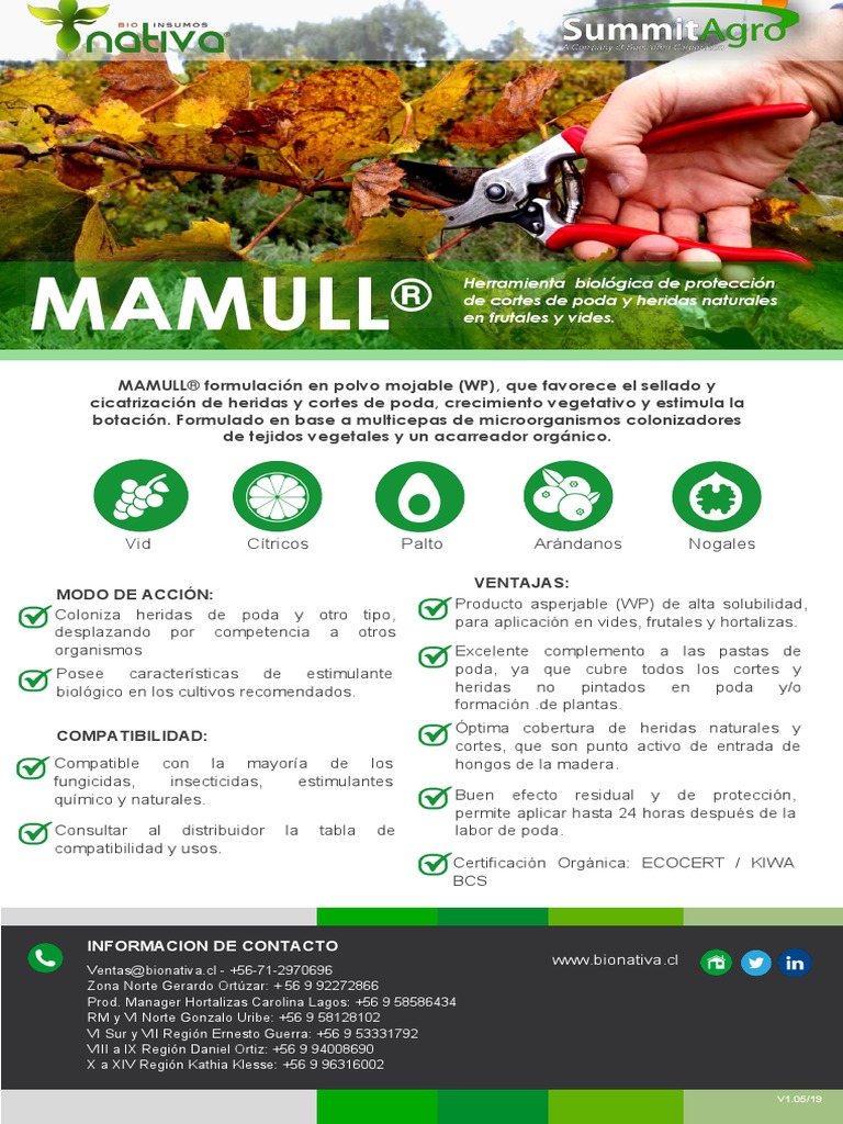 Mamull V1.19 | PDF | Biología | Organismos