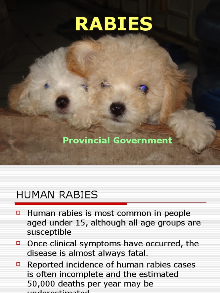 1 Human Rabies | PDF | Rabies | Medical Specialties